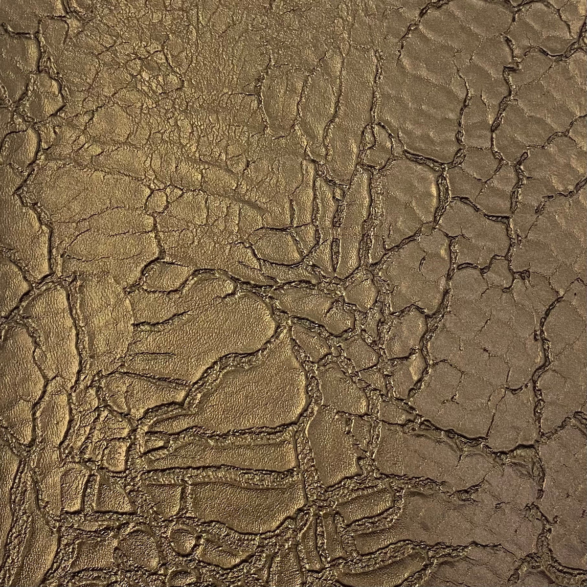 Safari Reptillian Chocolate – MicrotexFabrics